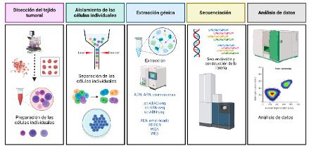 Inteligencia artificial de la célula tumoral